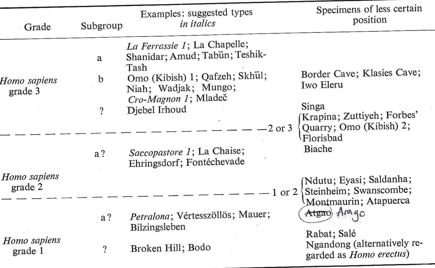 Suggested homo sapiens grade structure note: groupings