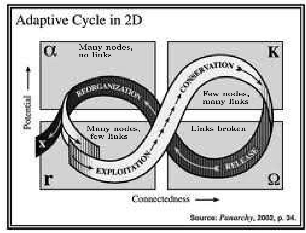 Adaptive cycle diagram with network descriptions. the arrow