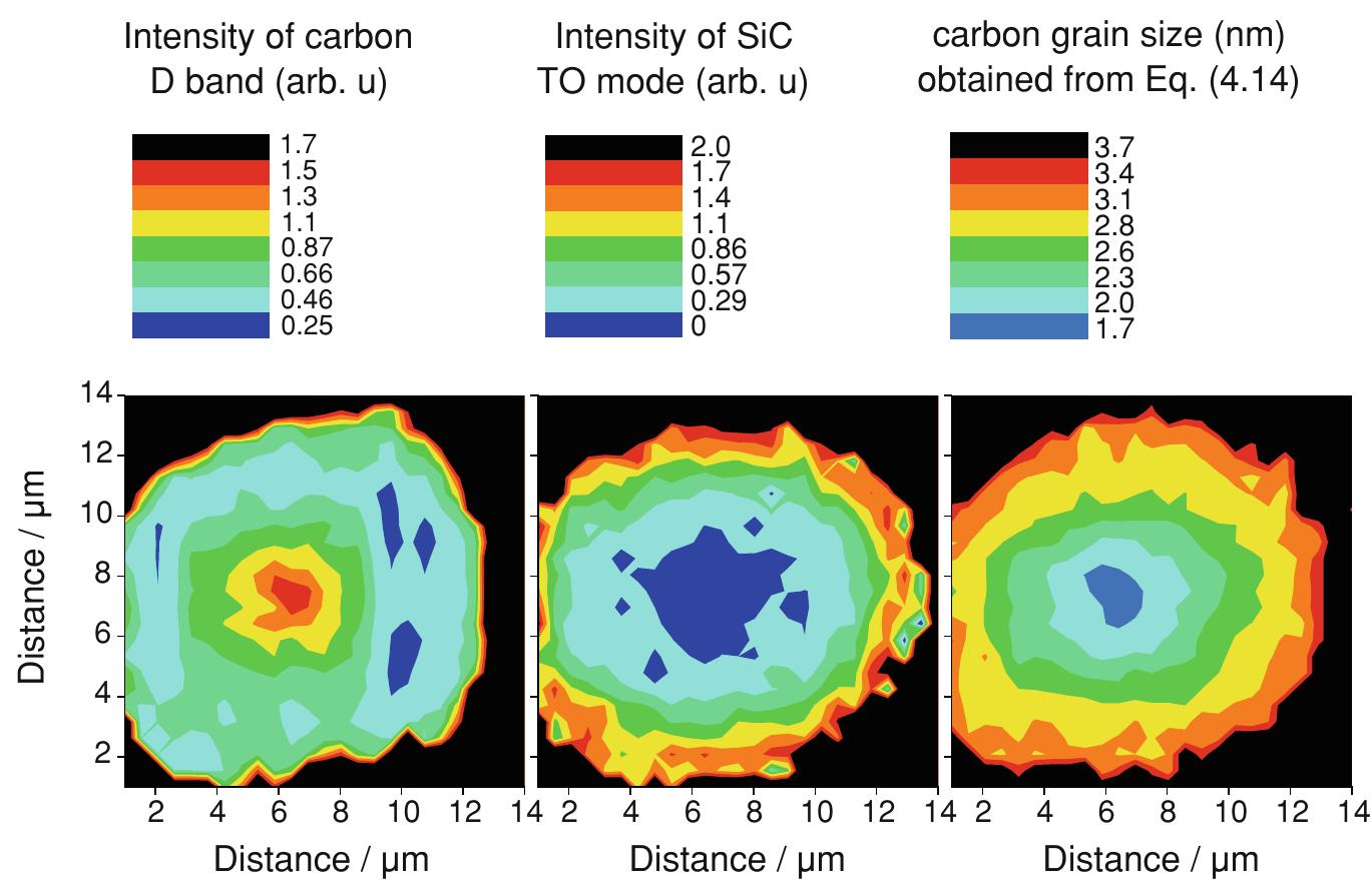 14 smart raman maps (25 x 25 spectra) of the cross-section