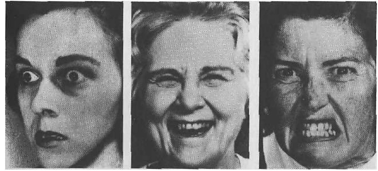 Figure 4 - Emotions Revealed Recognizing Faces and Feelings