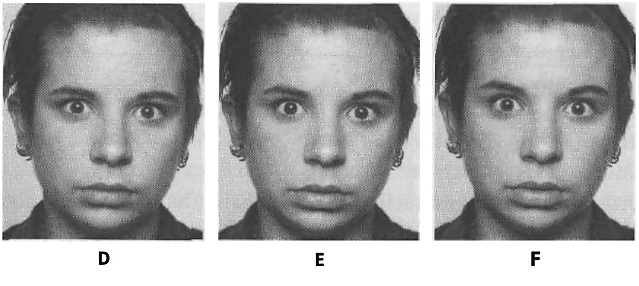 Figure 32 - Emotions Revealed Recognizing Faces and Feelings