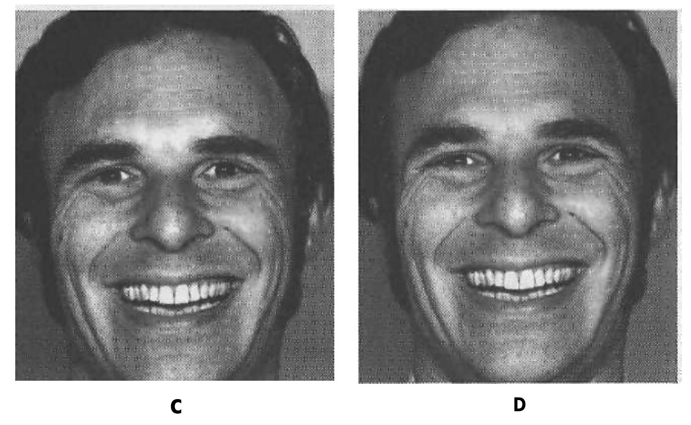 Figure 50 - Emotions Revealed Recognizing Faces and Feelings