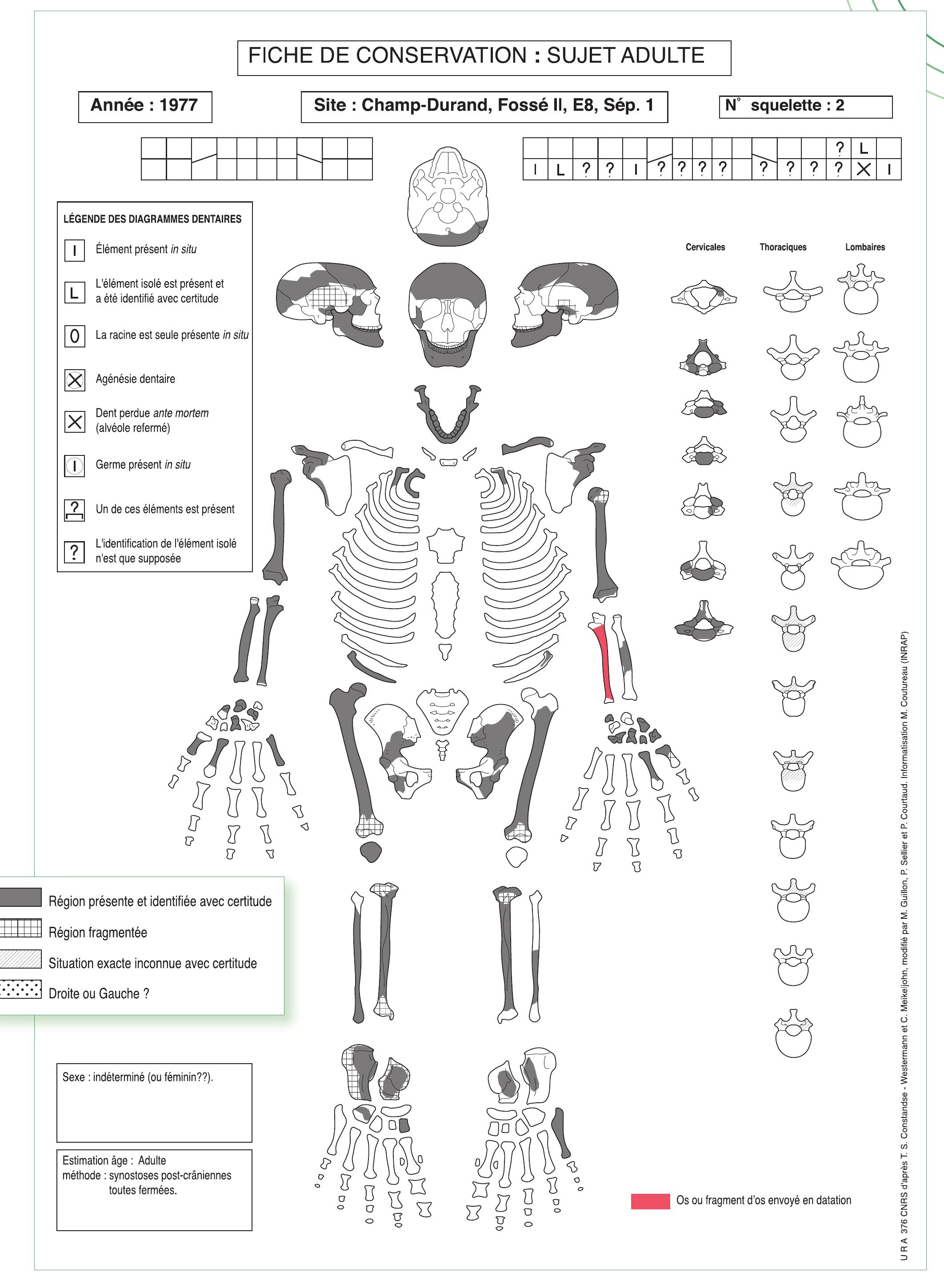 : e i-77, ensemble 1 — fiche de conservation du squelette 2