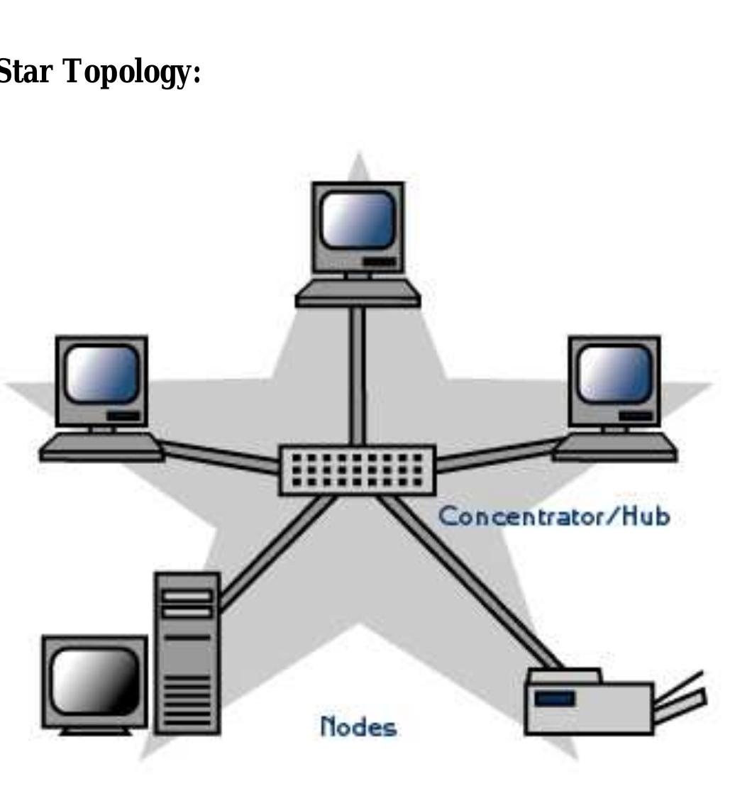 Graph 3. star topology (adapted from network topology,