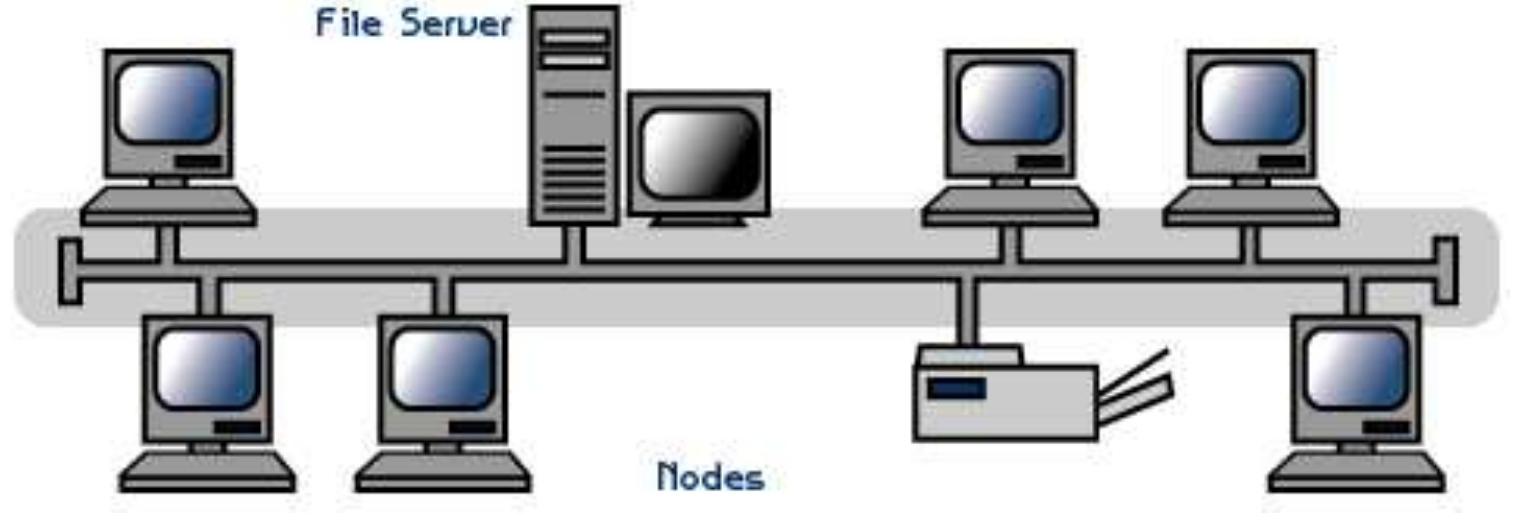 Graph 6. linear bus topology (adapted from network topology,