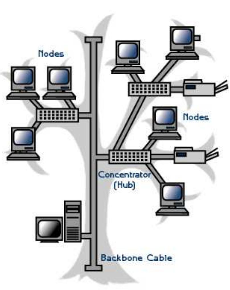 Graph 7. tree topology (adapted from network topology,