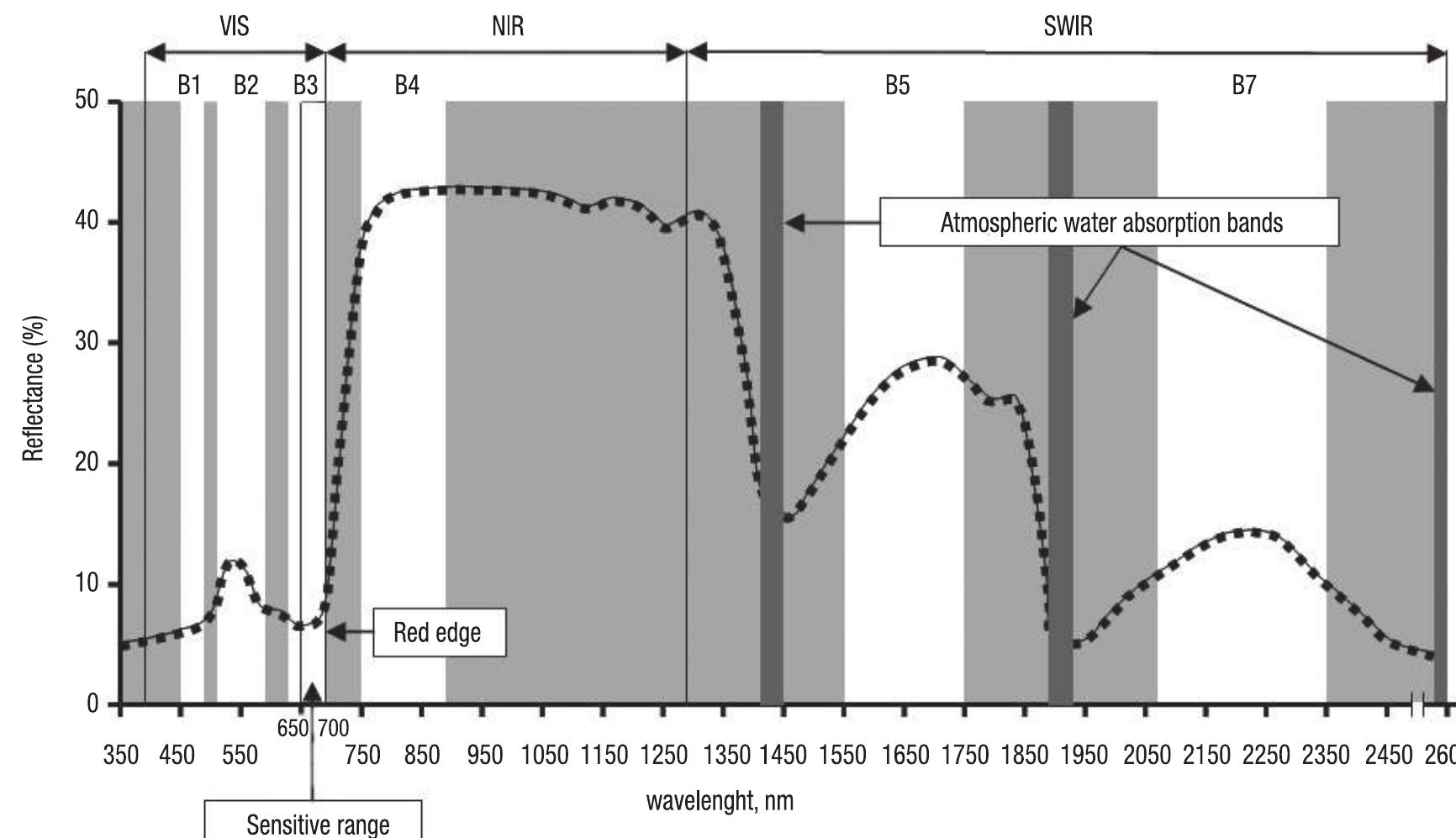 Differences between multispectral and hyperspectral data.