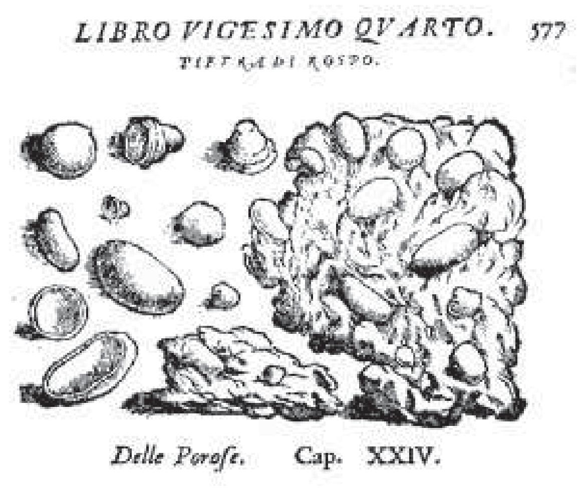 "pietra di rospo" from imperato (1672).
