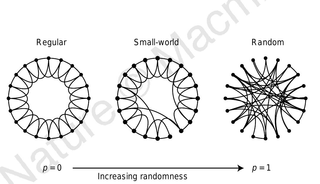 Shows That All Three Graphs Are Small World Networks These