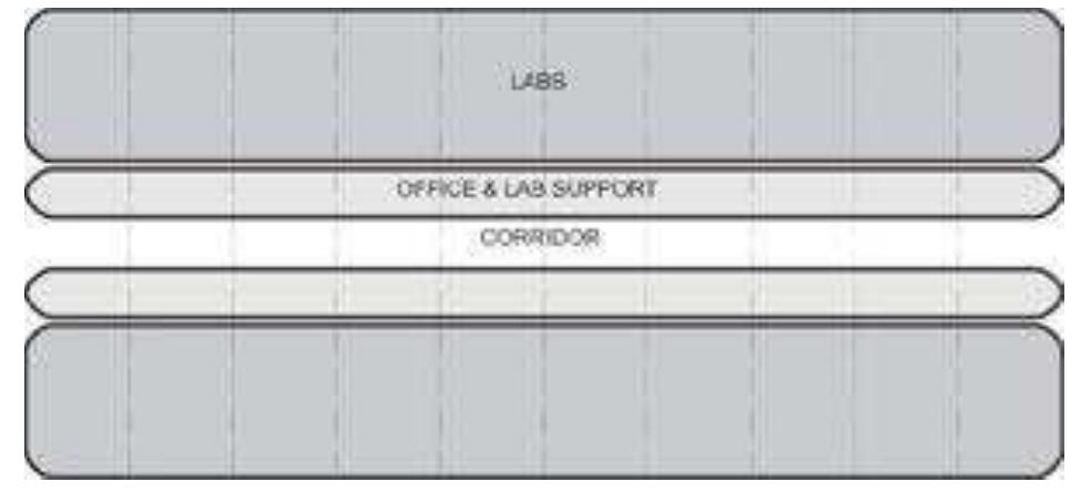 Single corridor lab design with labs and office adjacent to