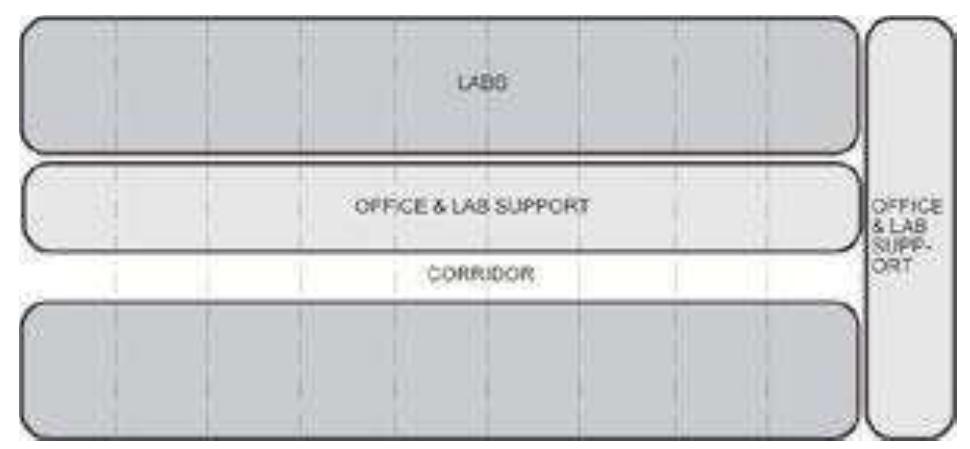 Single corridor lab design with offices clustered together