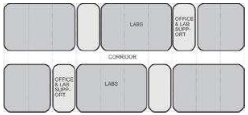 Single corridor lab design with office clusters accessing