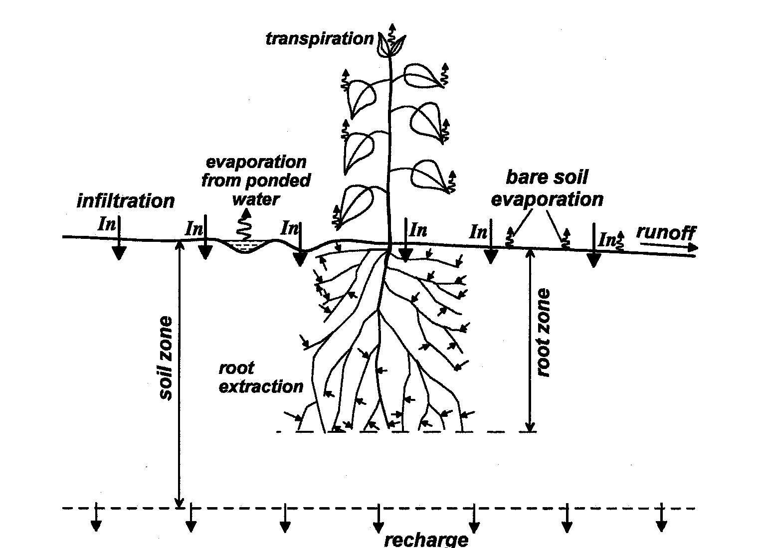 4 conceptual diagram of soil-plant—atmosphere system