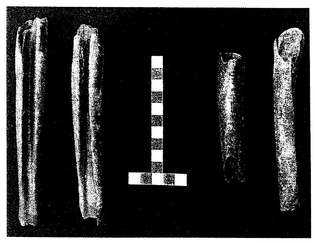 Caribou metatarsal and tibia shaft cylinders from the saqgaq