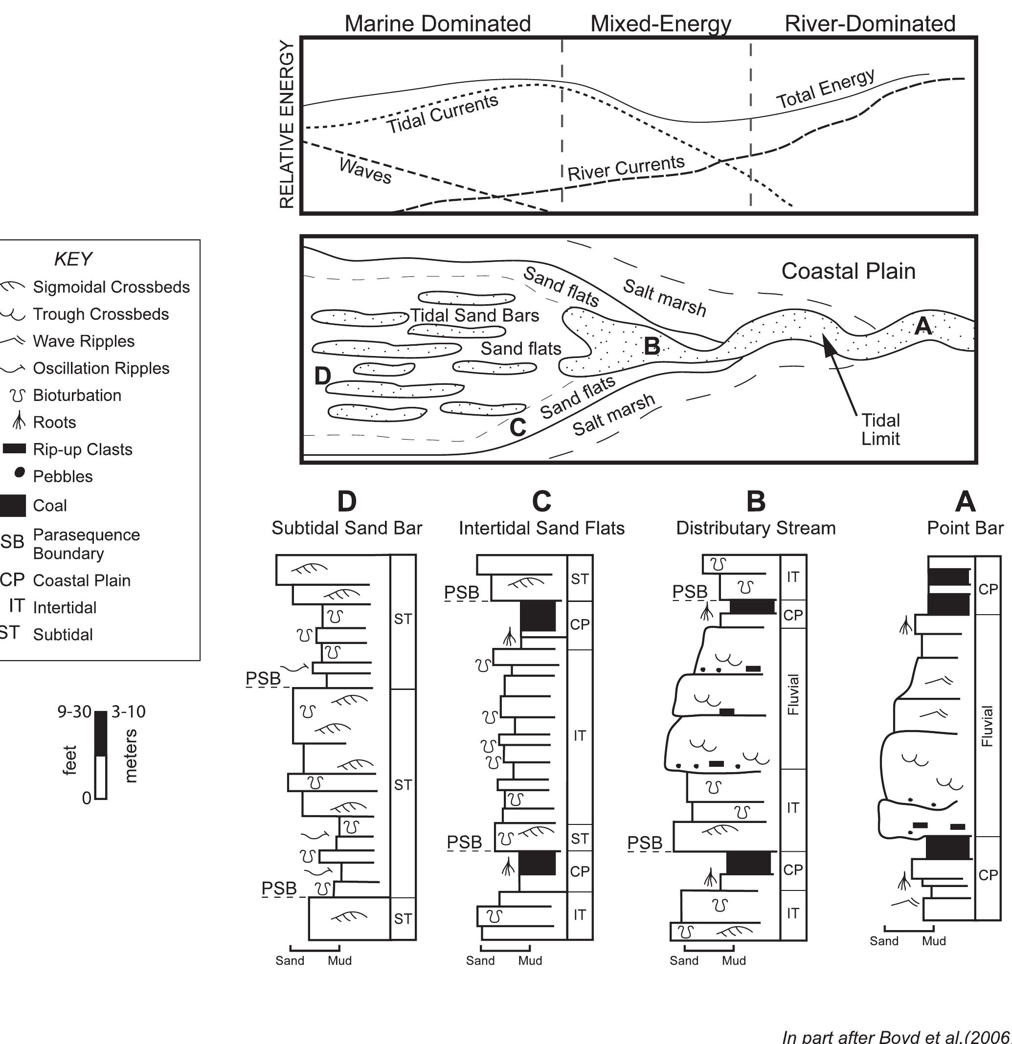Fic. 13—schematic fluvial-tidal depositional model of a