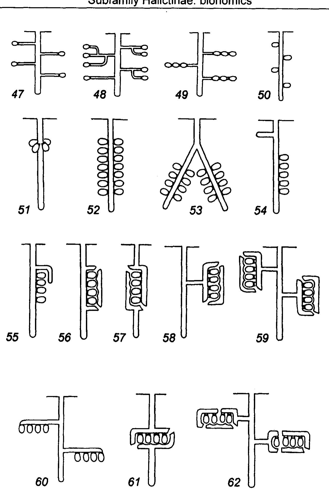 S. 47-62. main kinds of nest patterns. 47, simple branched