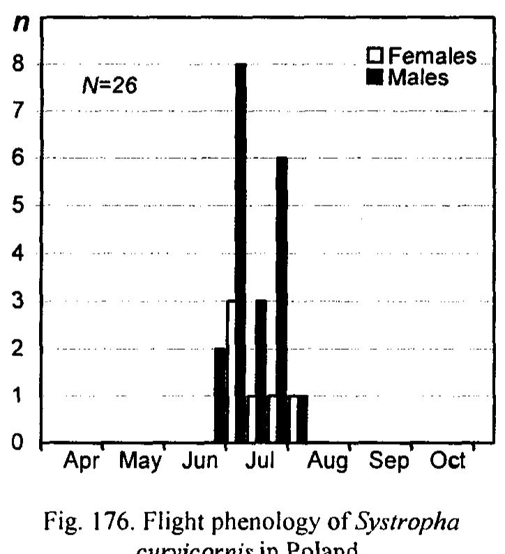 Occurrence of systropha curvicornis in poland.