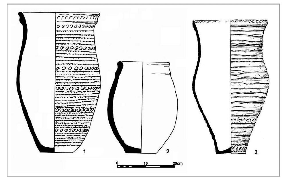 The large beakers from maxey (1 & 2) and west malling g). 3