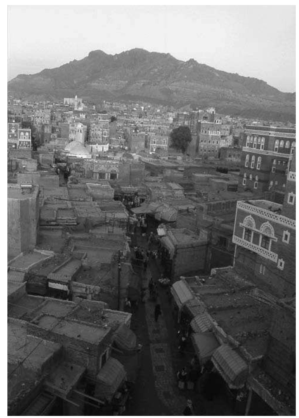 Figure 4 - Rethinking Cultural Heritage: Lessons from Sanaa