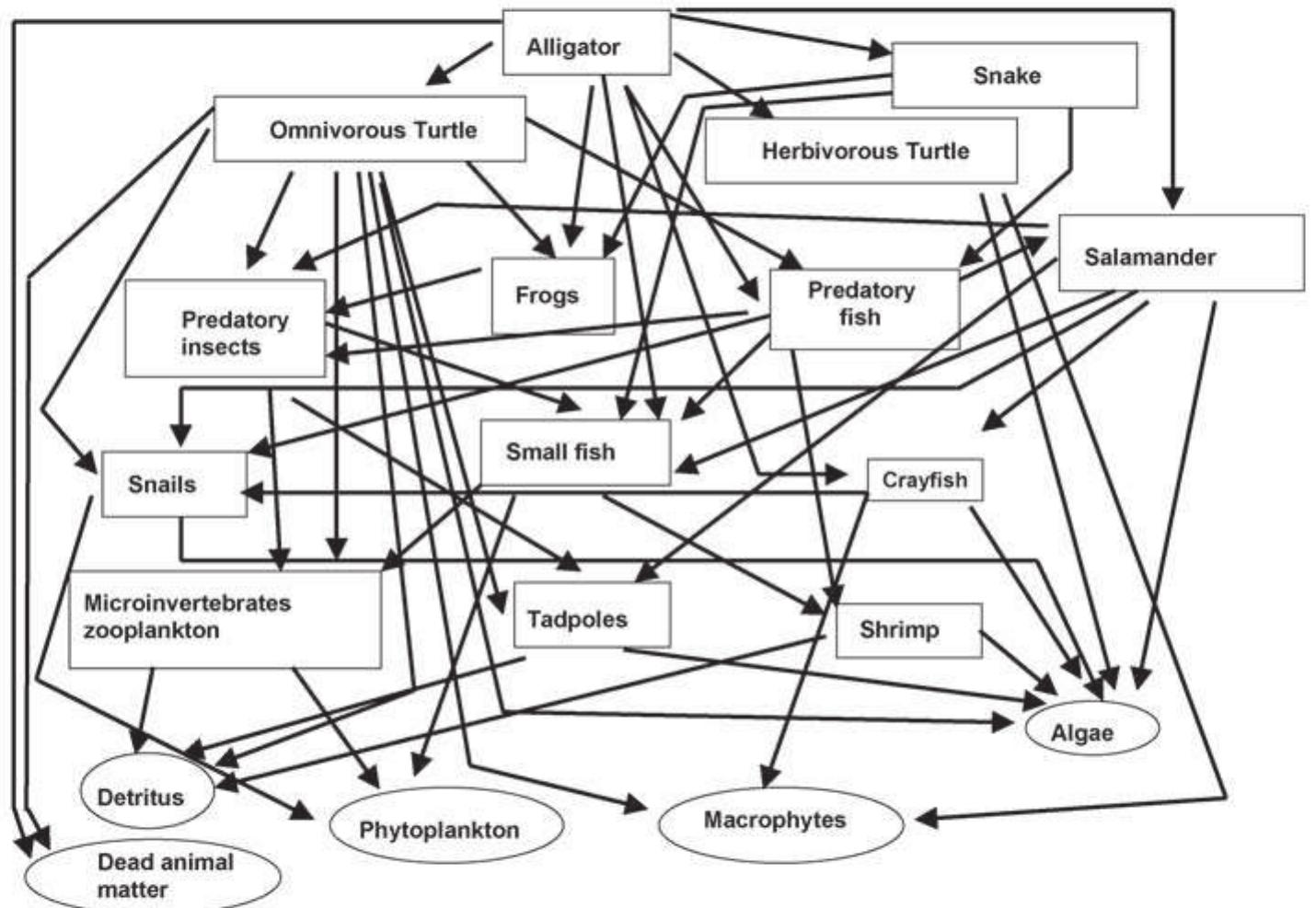 Figure 1 - from Ecological Relationships of Turtles in