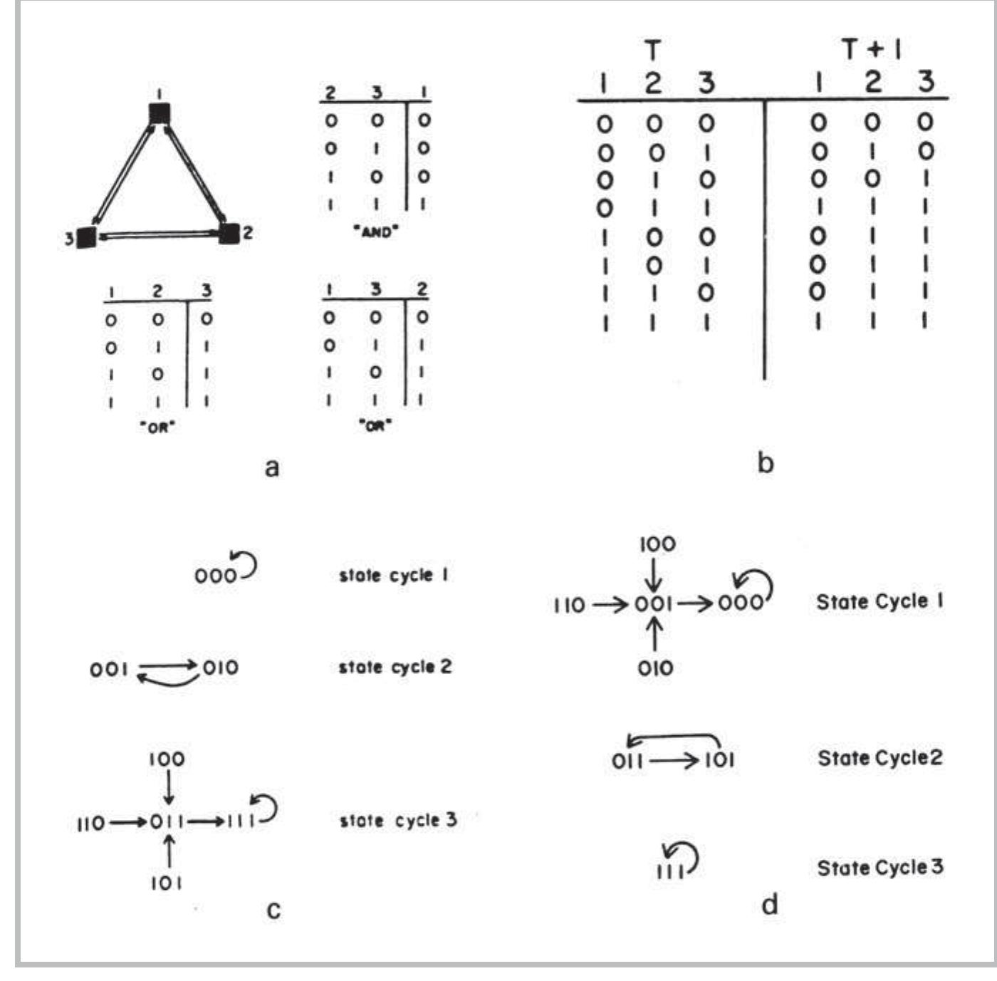 Figure 6 - from Reinventing the Sacred: A New View of