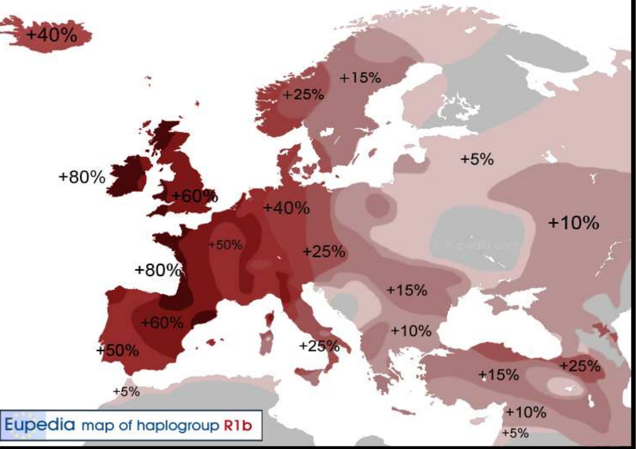 (PDF) Origins and history of Haplogroup R1b (Y-DNA)