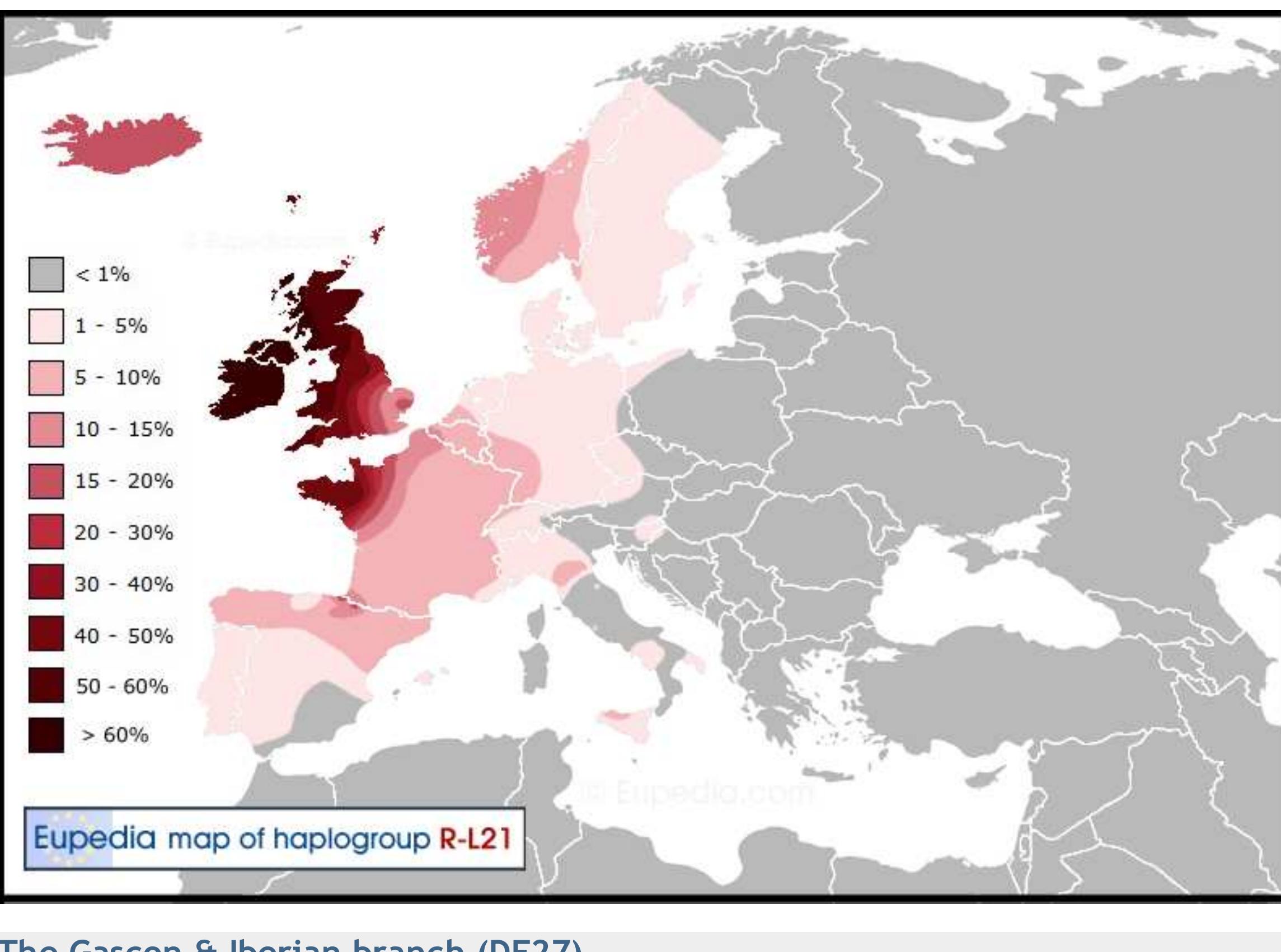 Origins and history of Haplogroup R1b (Y-DNA)