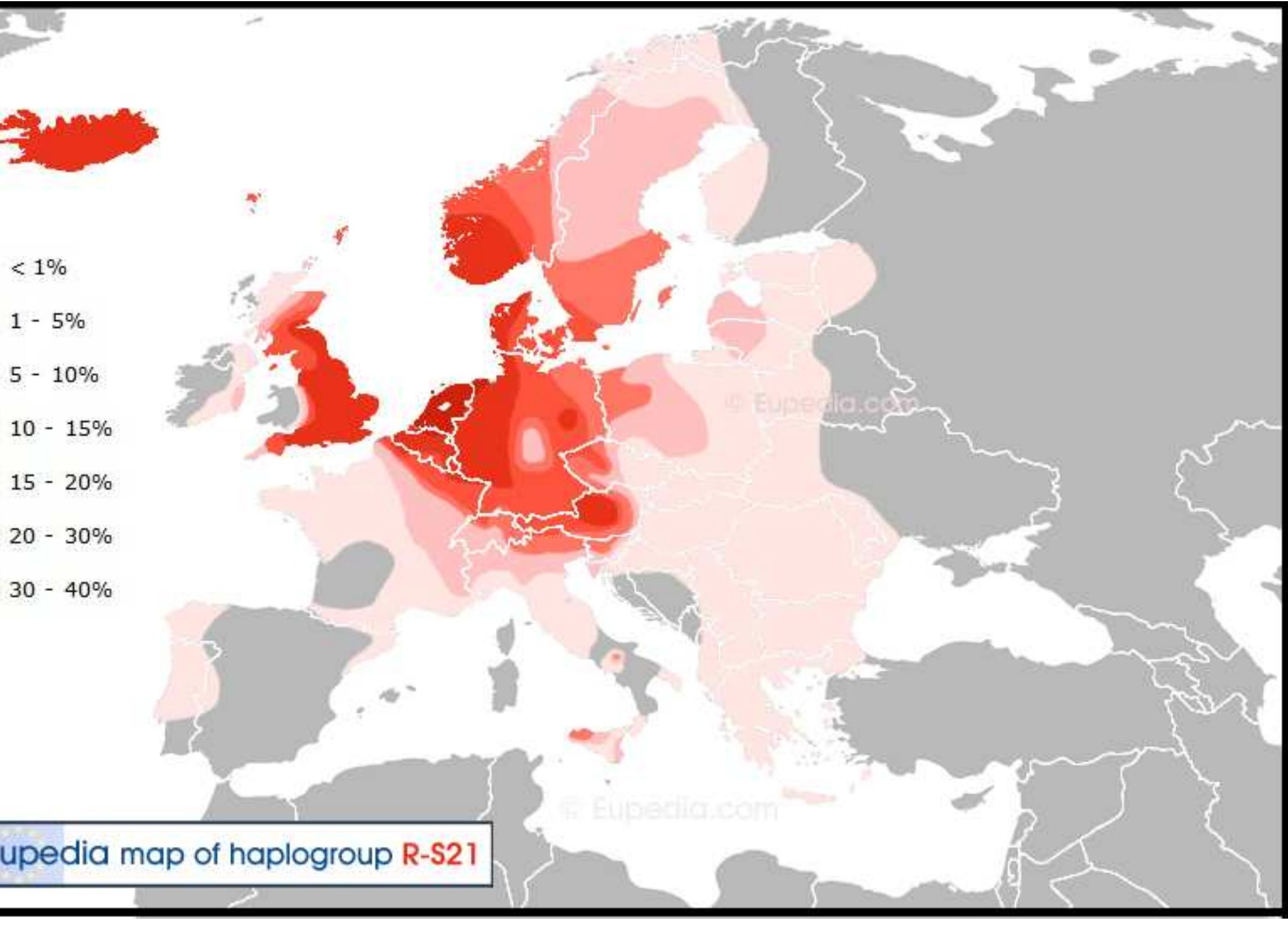 (PDF) Origins and history of Haplogroup R1b (Y-DNA)