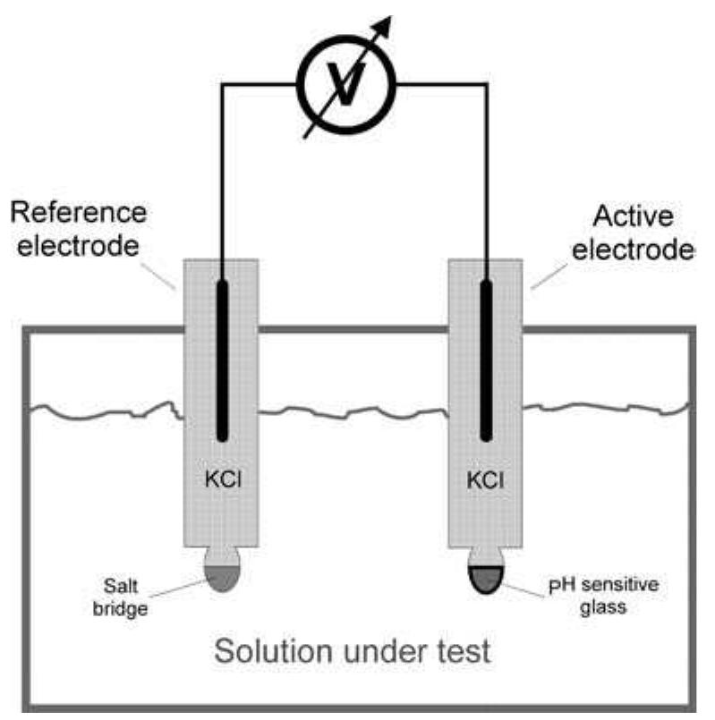 24 principle of a ph electrode. ph electrodes belong to a