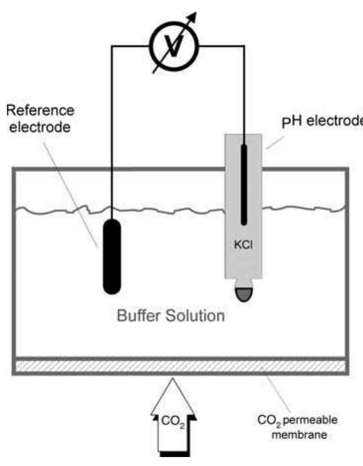 25 principle of a pco, electrode. electrodes for measurement