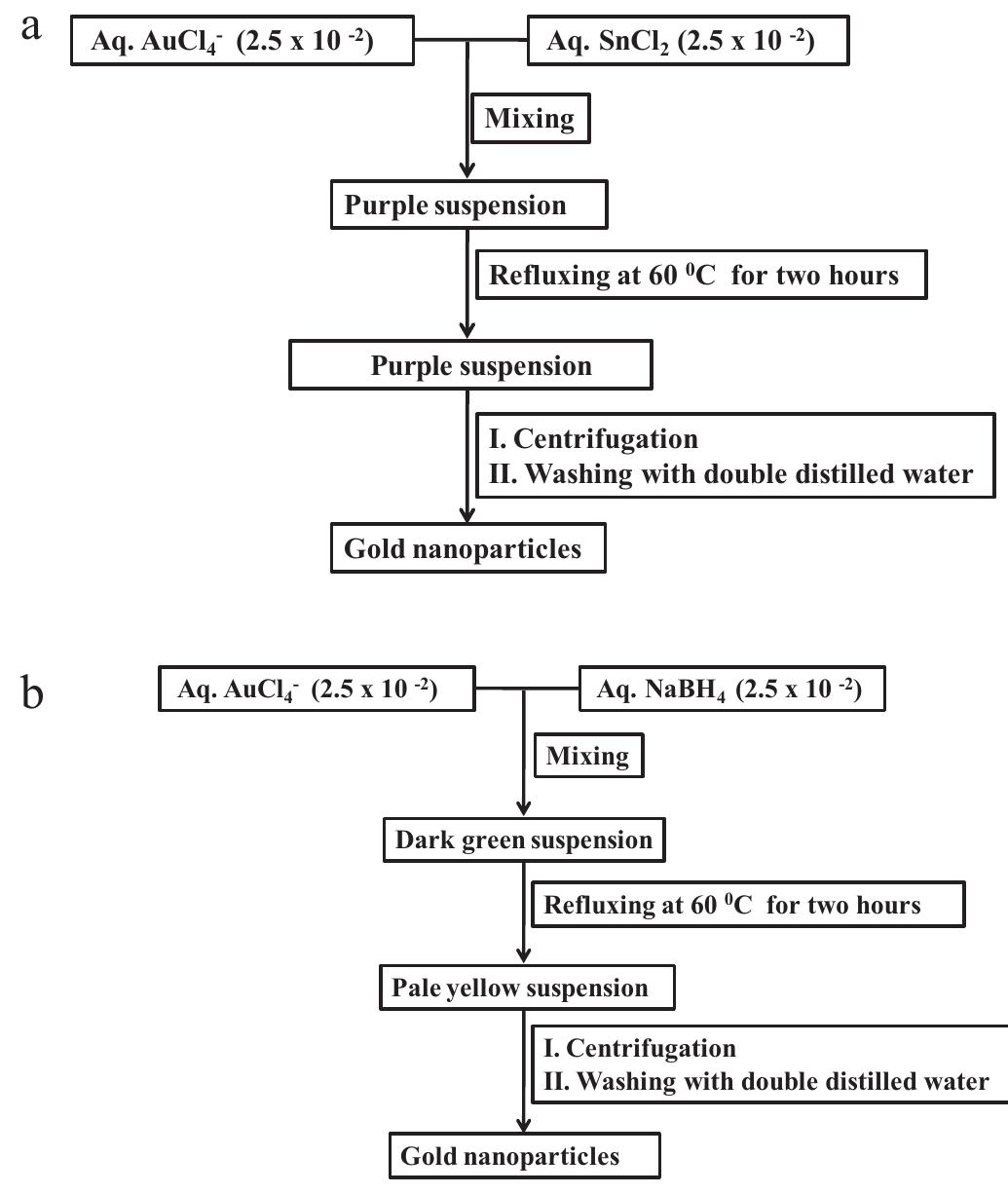 The flow chart for the synthesis of gold nanoparticles