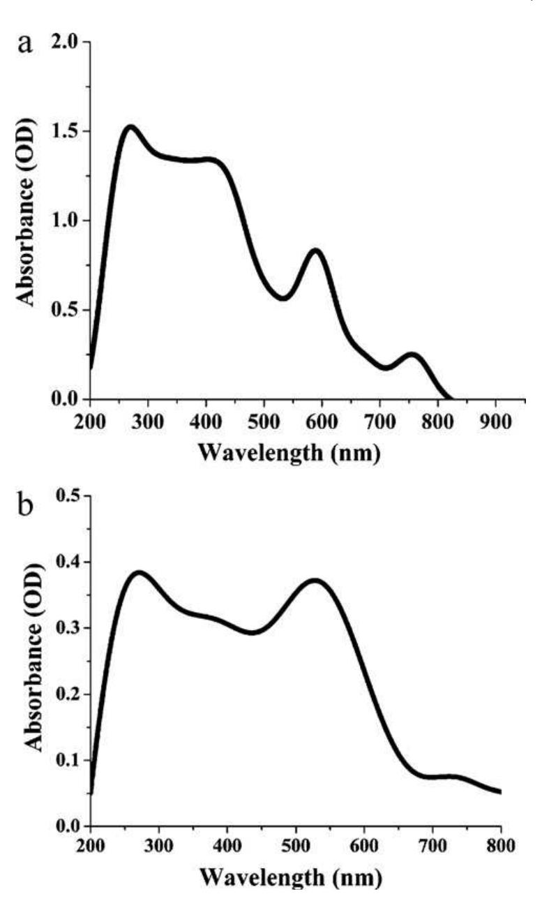 Uv-vis absorption spectrum of the gold nanoparticle