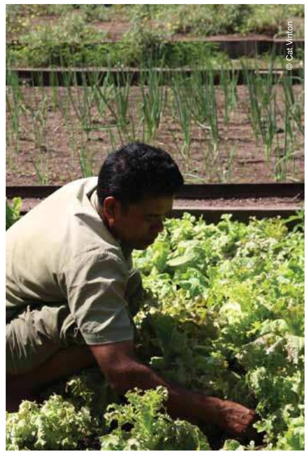 Figure 5 - Siting and Design of Hotels and Resorts