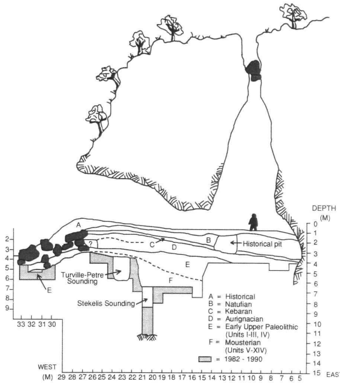 Fic. 3. general cross section of the cave with stratigraphy