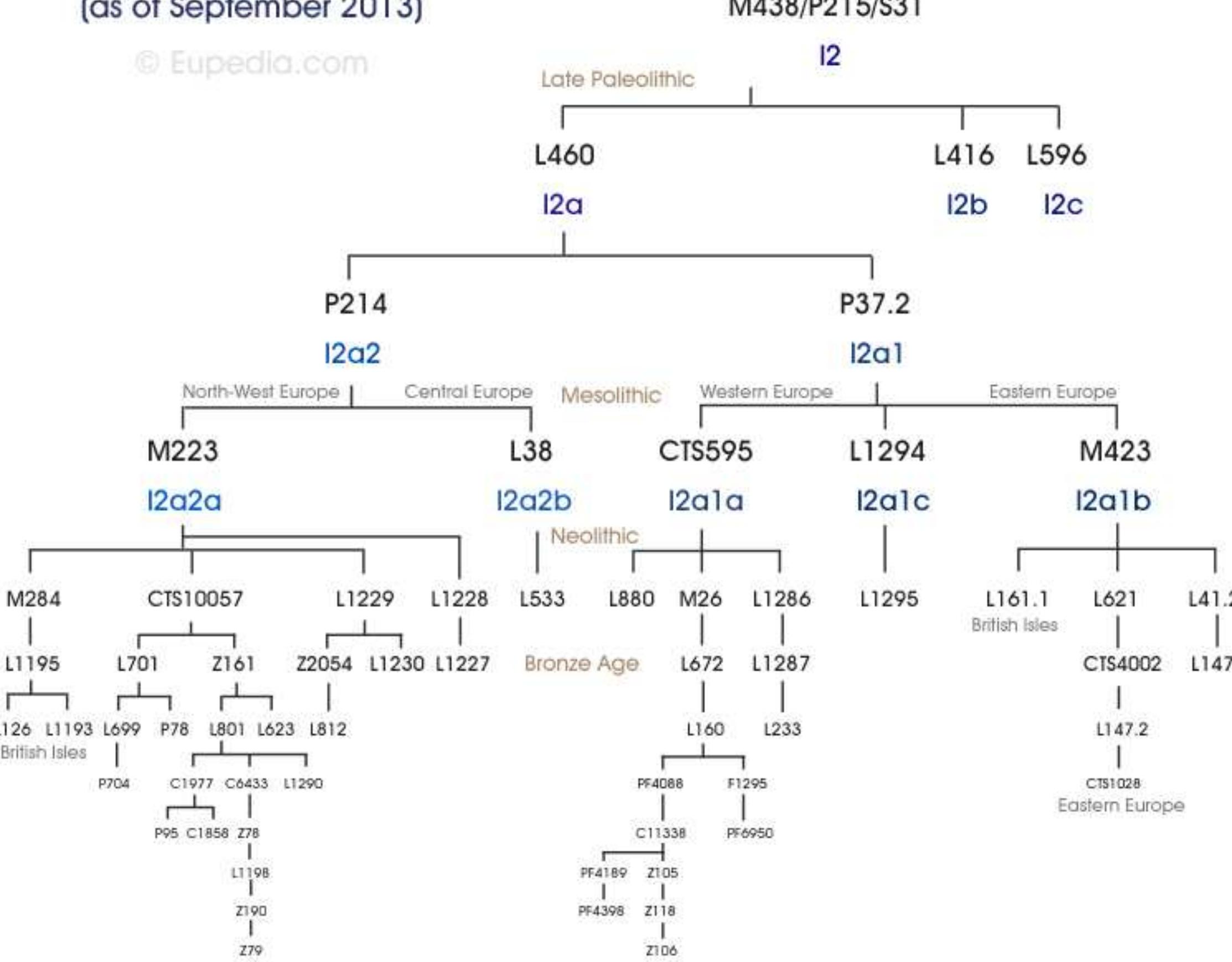 (PDF) Origins and history of Haplogroup I2 (Y-DNA)