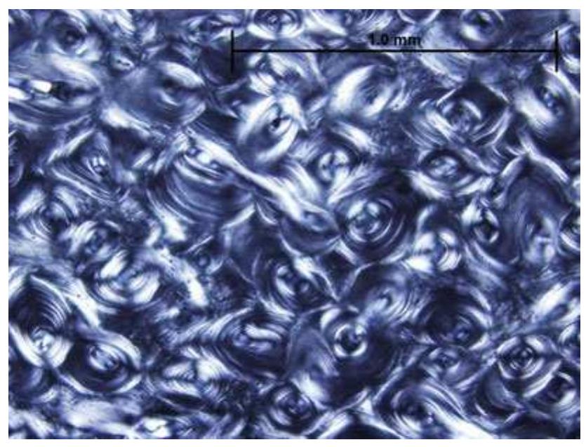 Bone: histological analysis, fig. 3 human haversian bone