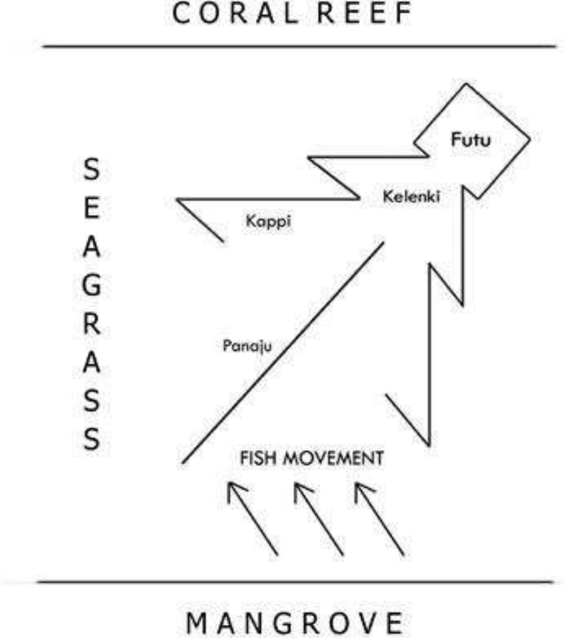 Structural design and typical positioning of fish fences