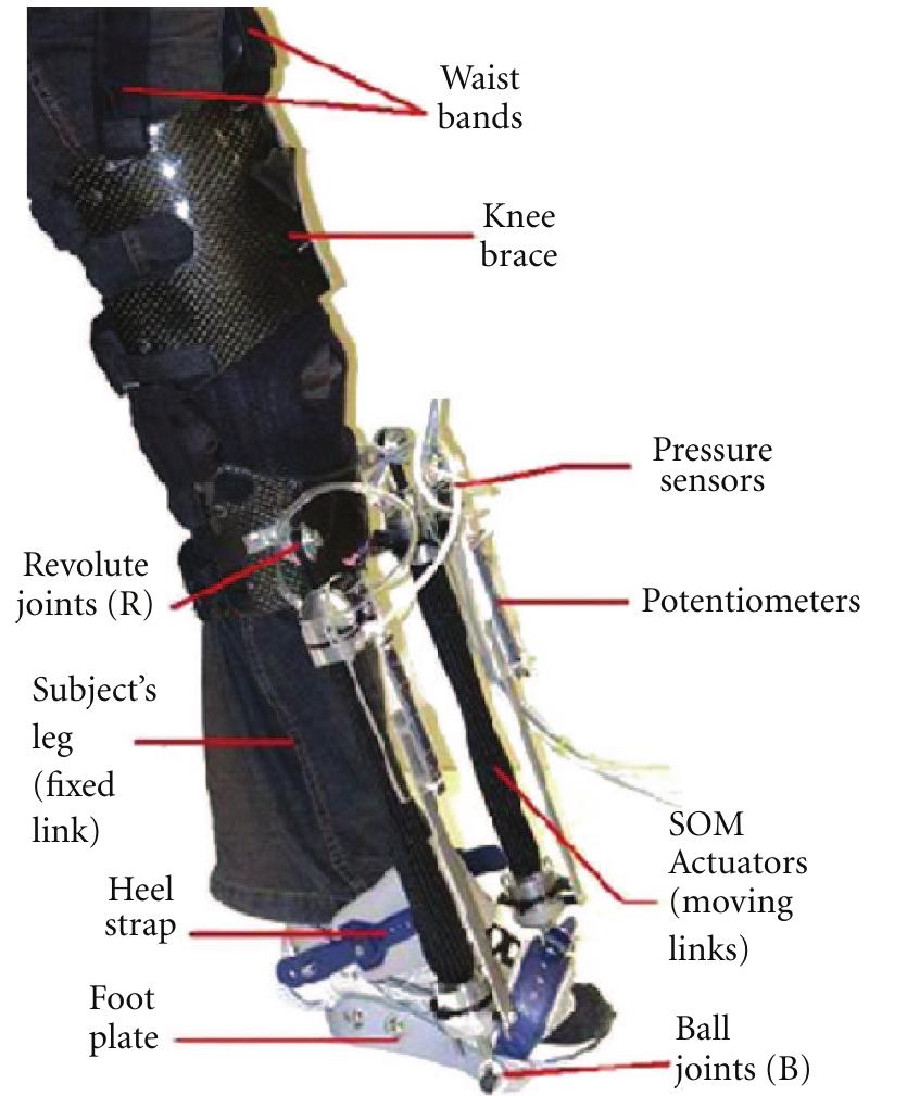 The robotic gait trainer developed in the human machine