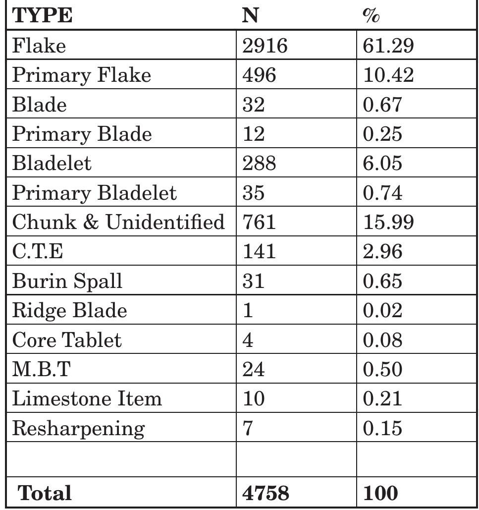Breakdown of the debitage in structure 106