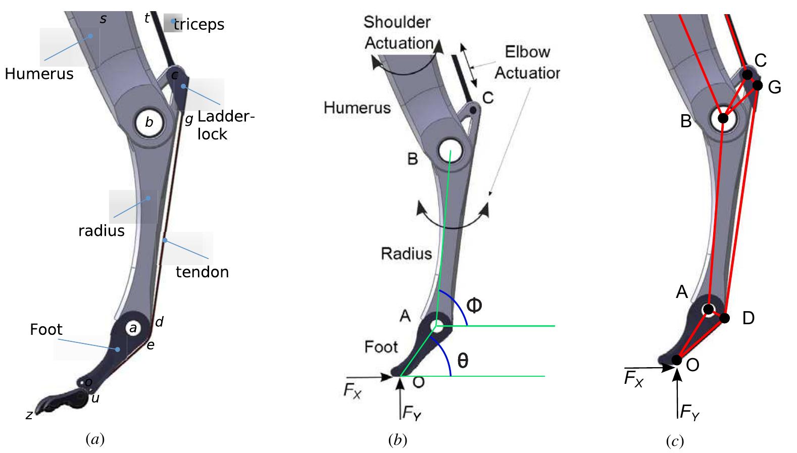 (a) the leg design of the mit robotic cheetah. the parts