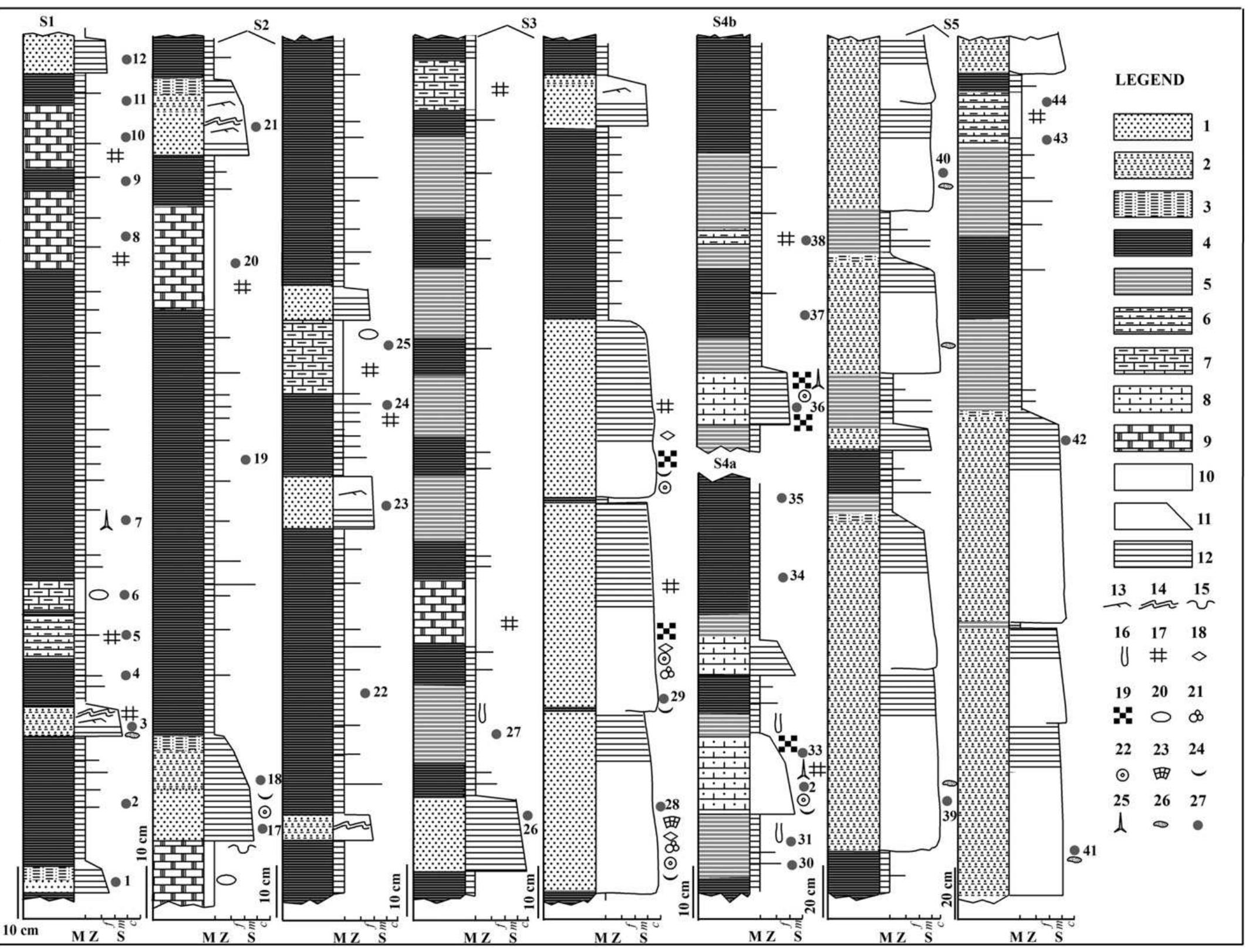 Sedimentology of the detailed investigated sections s1—s5