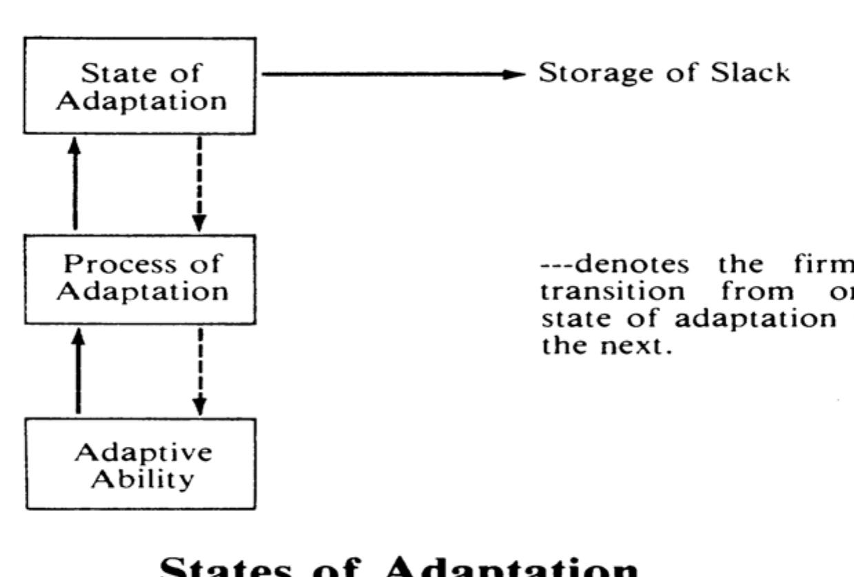 A skeletal model of adaptation simon gives us a three modes