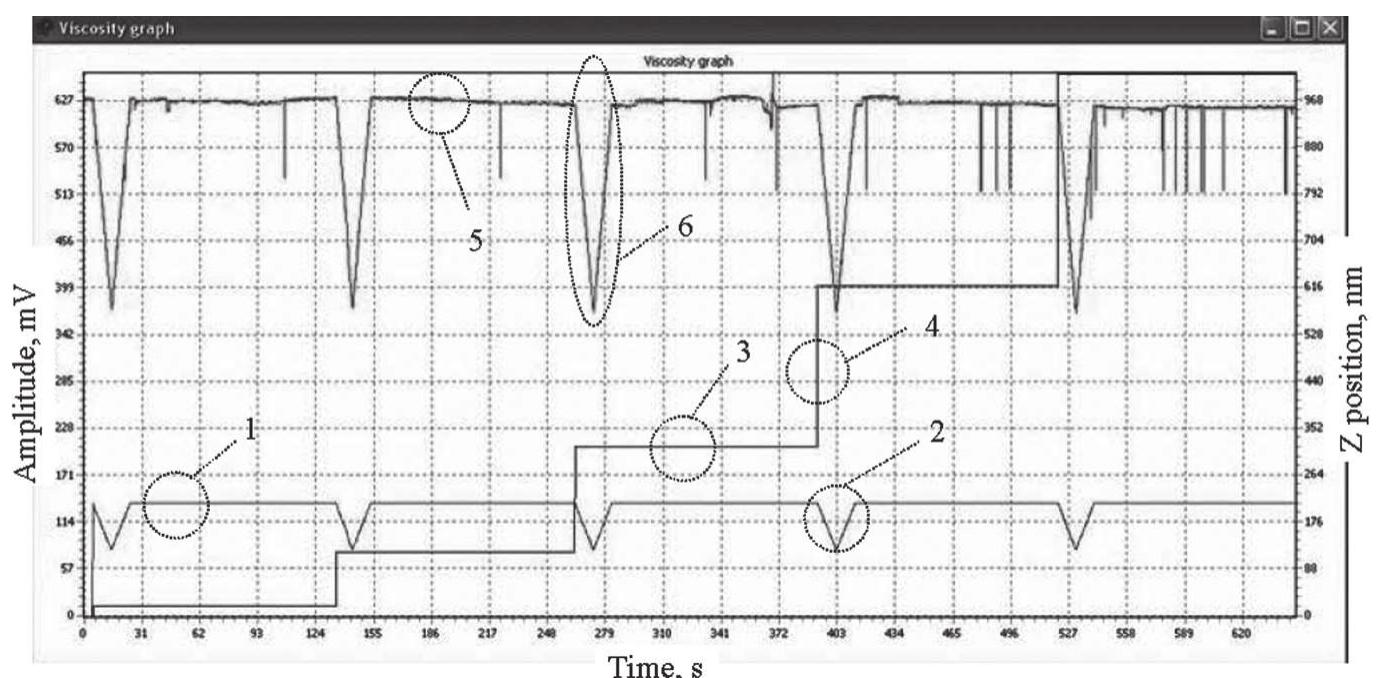 Visualization window of viscosity measurements results: