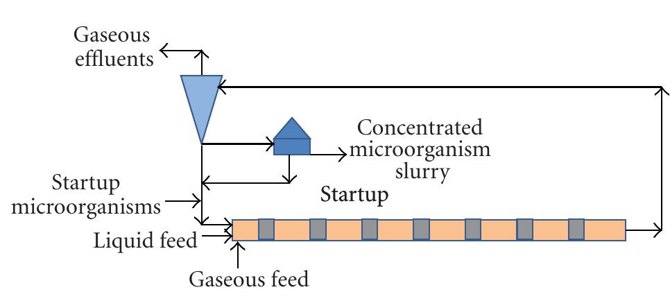 Ficure 1: schematic representation of a pipe-loop bioreactor