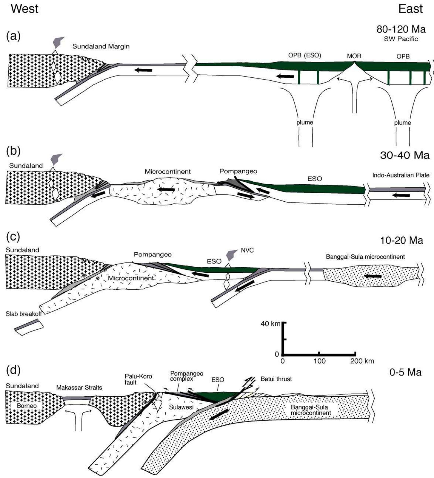 Cartoon cross sections to show the tectonic history of the