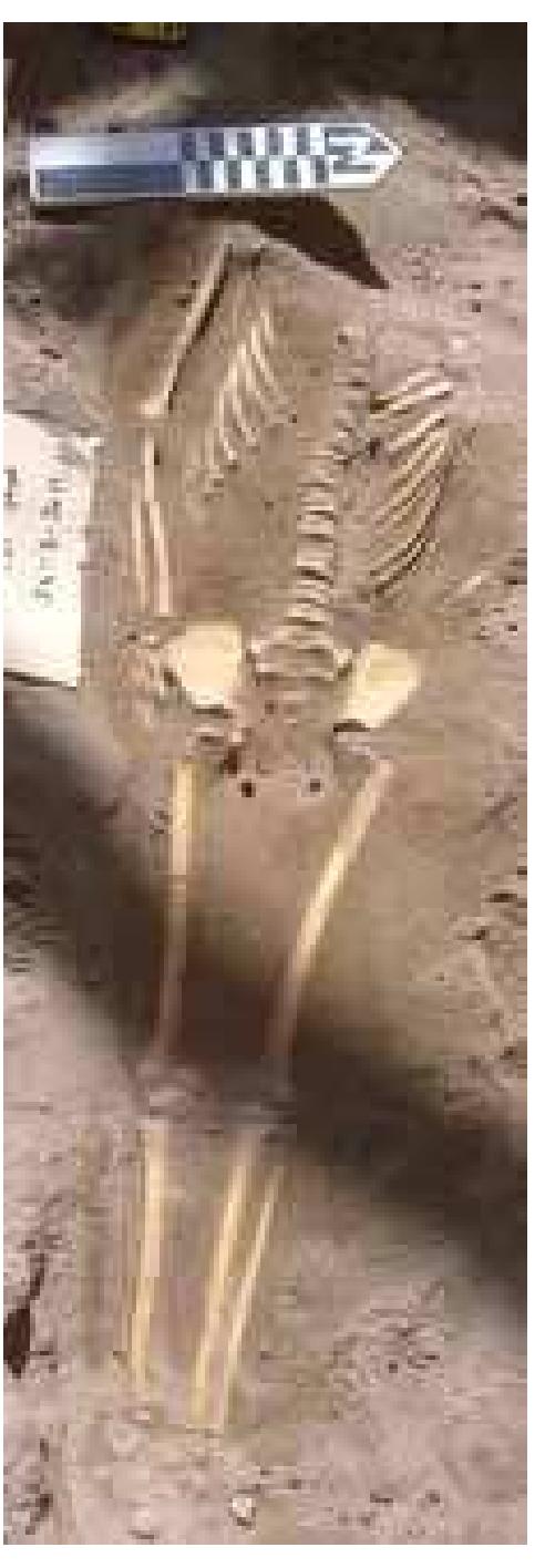 Trench b: burial cat. 12. archives sca figure 13: trench b: