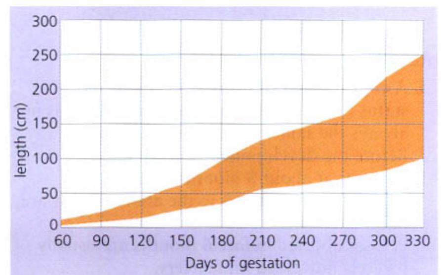 32. the crown-rump length of a thoroughbred fetus between 60