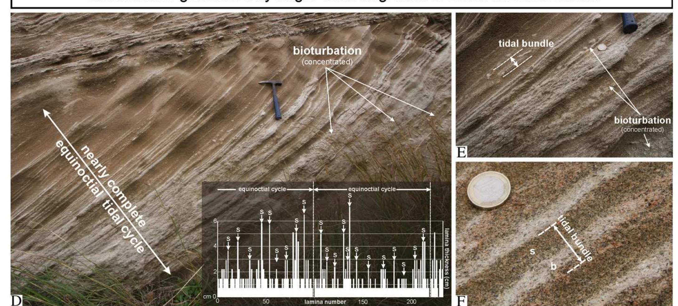 Comparison between the two main types of tidal facies
