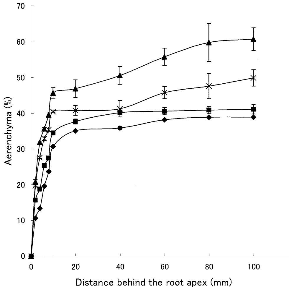Root-porosity development in the four root types of