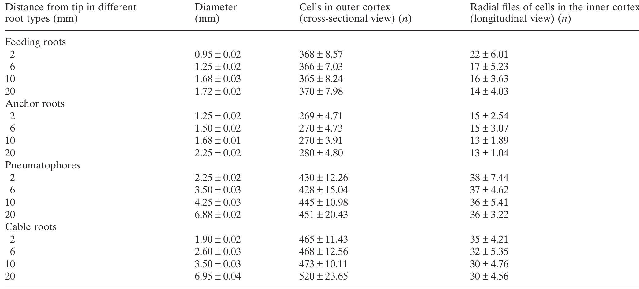Root diameter and cortical cell numbers at difference